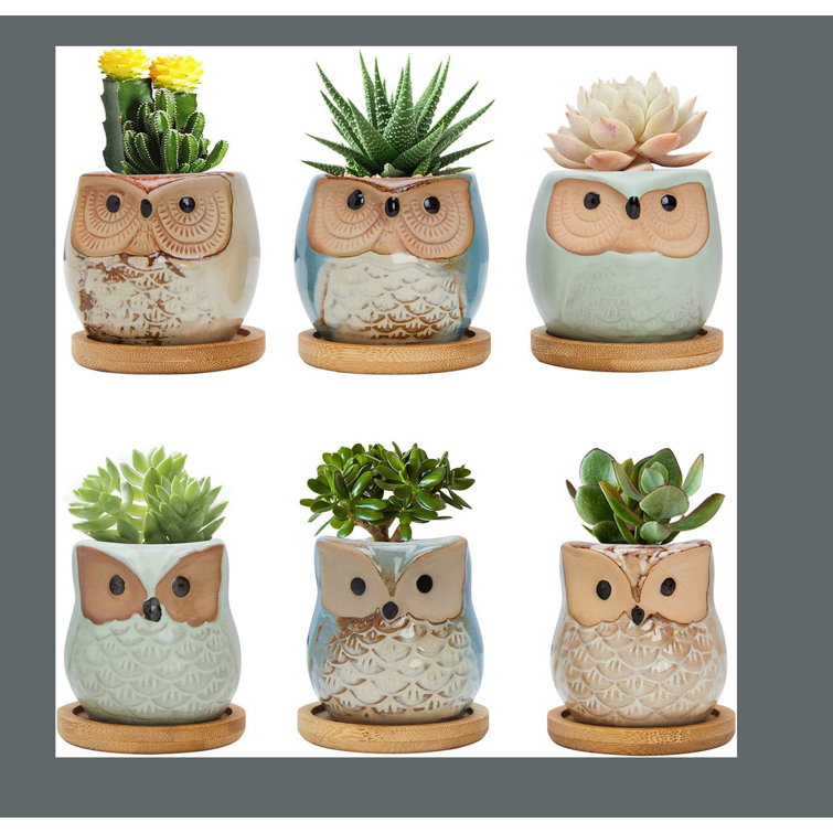 August Grove® Aliaskar 6-Piece Pot Planter Set | Wayfair